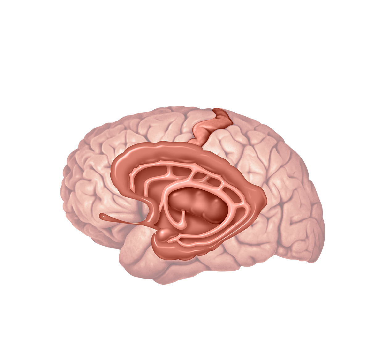 Interactives | Hypnotic Analgesia